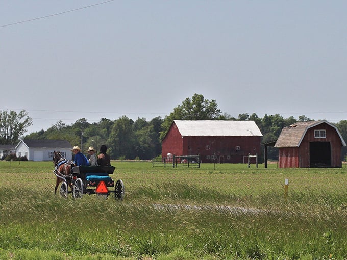 Where horse-drawn buggies and historic storefronts collide – Berne's main street offers a glimpse into a simpler time while vibrant flower displays add splashes of color.