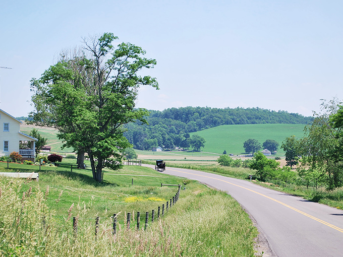Where modern meets tradition on Main Street. The clip-clop of hooves against pavement is Sugarcreek's version of a traffic report.