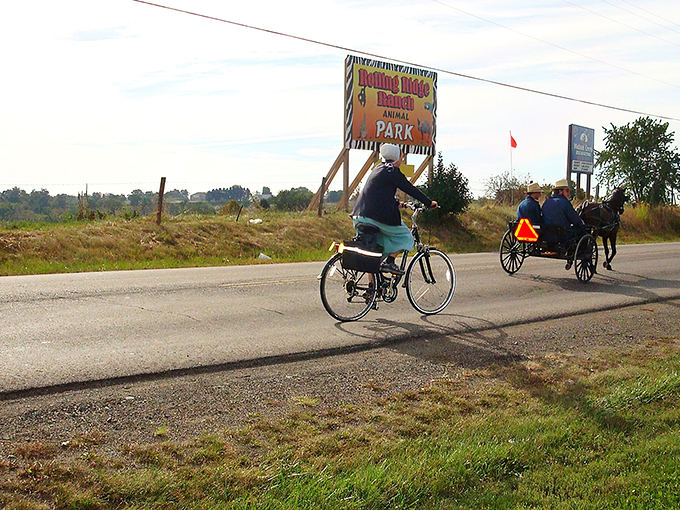 Where worlds collide! Amish transportation meets modern life on the roads of Holmes County, creating a living postcard of American cultural harmony. 
