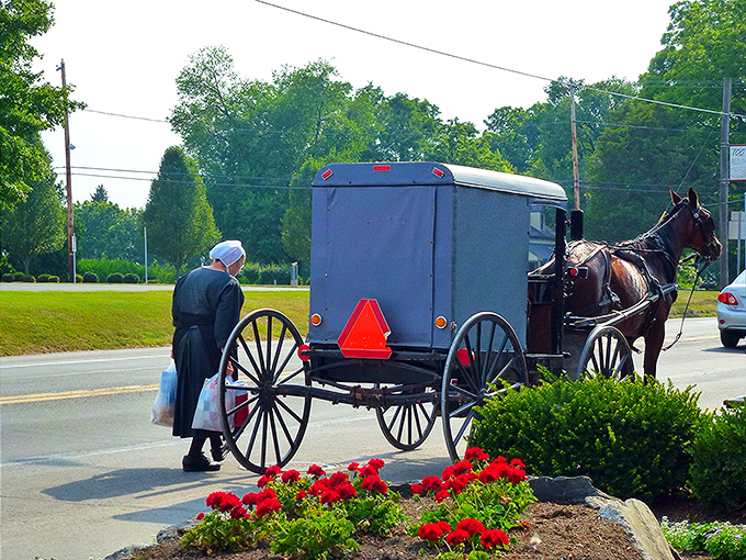 Where time travel requires no DeLorean: An Amish buggy waits as its passenger completes errands, a scene unchanged for generations in Bird-in-Hand.