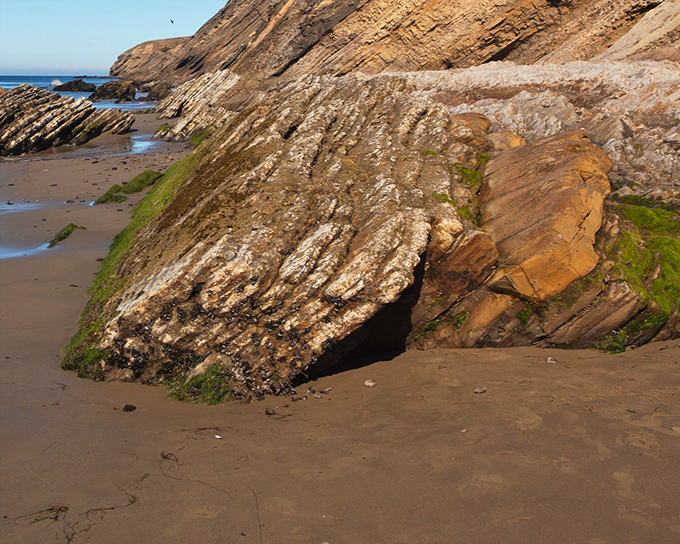 Nature's own geology museum where the cliffs meet the shore. These ancient rock formations have been perfecting their poses long before selfies were invented.