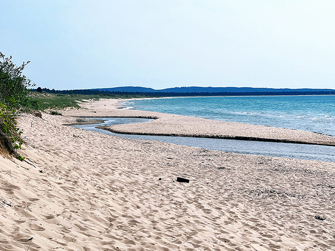 Paradise isn't always tropical. Esch Road Beach stretches before you like Michigan's answer to the Mediterranean, minus the passport requirement and overpriced espresso. 