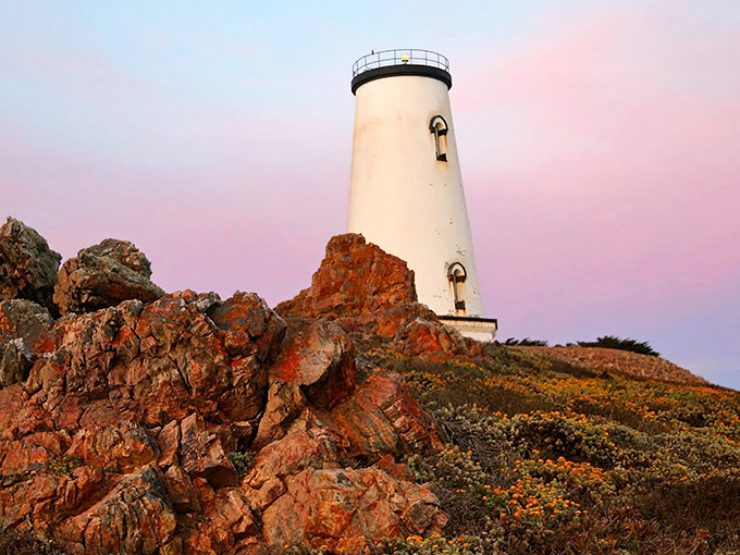 Spring transforms this working lighthouse into a painter's dream, with wildflowers stealing the show from the architecture.