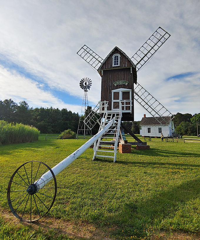 The star of Cambridge's hidden historic village, Spocott Windmill stands tall against Maryland's blue skies, its wooden arms ready to catch the Eastern Shore breeze. 