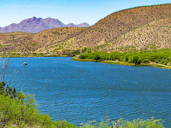 Nature's magic trick: a shimmering blue oasis nestled among desert hills. Arizona's best-kept secret sparkles like a sapphire dropped among the mesquite.