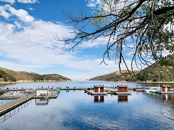 Mirror-perfect reflections at the park's lake create nature's own Instagram filter. Those little boat houses look like they're playing hide-and-seek with their own shadows.