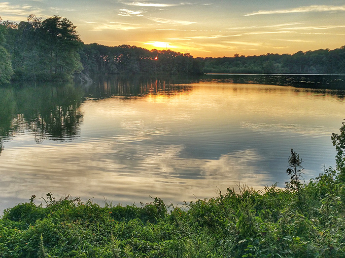 Mother Nature's mirror game is undefeated at Killens Pond, where sunset transforms ordinary water into liquid gold that would make King Midas jealous.