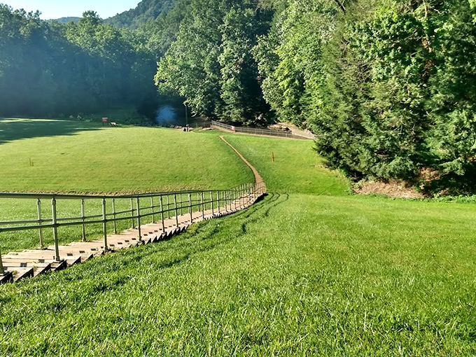 A wooden boardwalk winds through emerald meadows, inviting visitors to wander into the forest like characters in a storybook adventure.