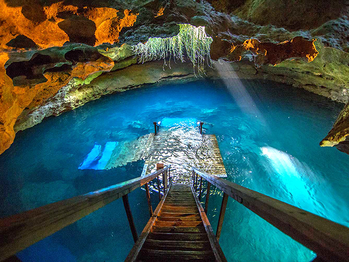 The ethereal blue waters of Devil's Den create an underground oasis that feels like stepping into another world entirely. Nature's own light show included!