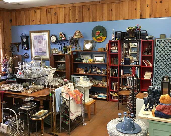 A treasure hunter's paradise where wooden walls and blue accents create the perfect backdrop for countless stories waiting to be discovered.