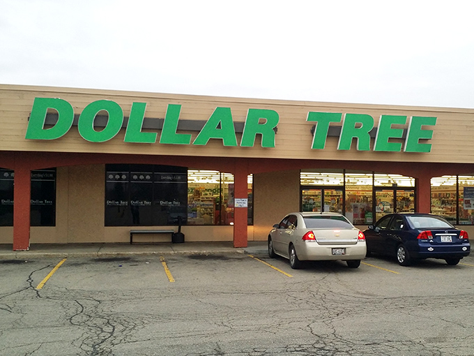 The iconic green signage beckons like a siren song to bargain hunters. Wisconsin thrift at its most accessible.