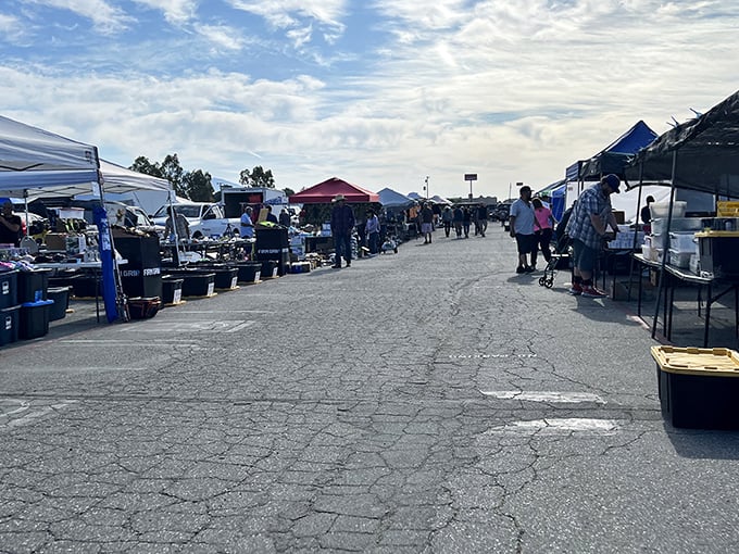 The grand boulevard of bargains stretches before you like a treasure map unfolding. Every tent holds potential discoveries waiting for the right curious shopper.