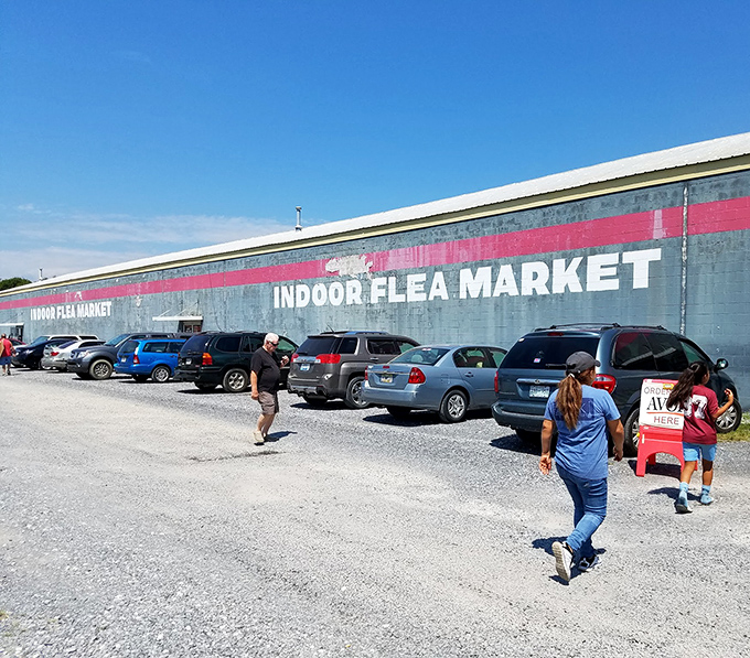The iconic gray building with its distinctive red stripe announces your arrival at treasure-hunting paradise. Big D Flea Market's exterior promises adventures waiting just beyond those doors.
