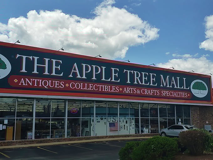 The iconic red-trimmed sign welcomes treasure hunters to The Apple Tree Mall, Branson's answer to the question "Where did all the cool stuff go?"