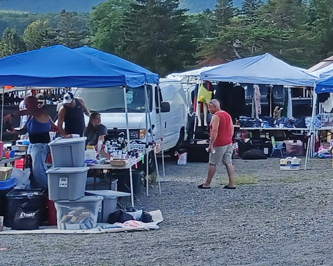 The treasure hunt begins! Rows of white tents stretch into the distance, each one a potential goldmine of forgotten treasures and unexpected delights.