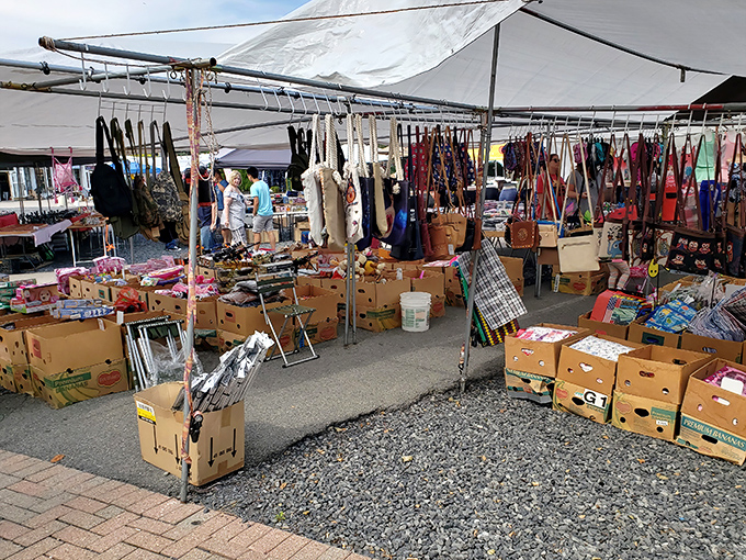 Treasure hunting begins! Cardboard boxes brimming with potential discoveries while clothing dangles overhead like colorful flags signaling "your next favorite thing is here."