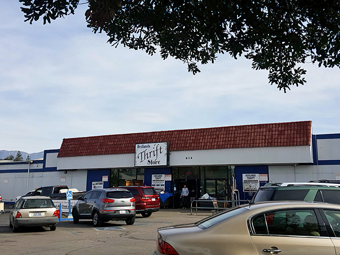 The unassuming exterior hides a treasure trove within. Like finding a Michelin-starred restaurant in a strip mall, this place delivers unexpected delights.