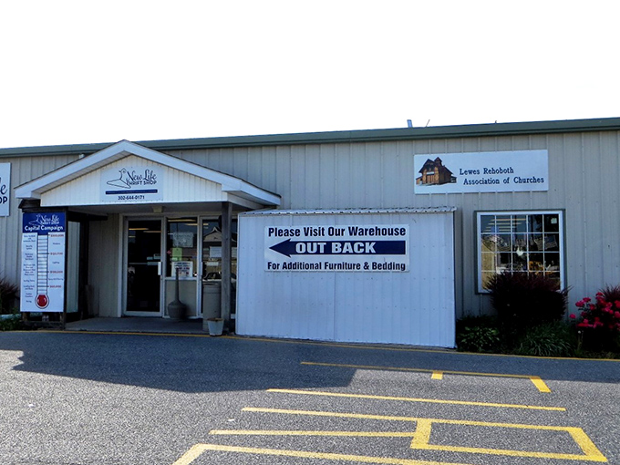 Step inside this treasure hunter's paradise where every aisle promises discoveries that'll make your heart skip.