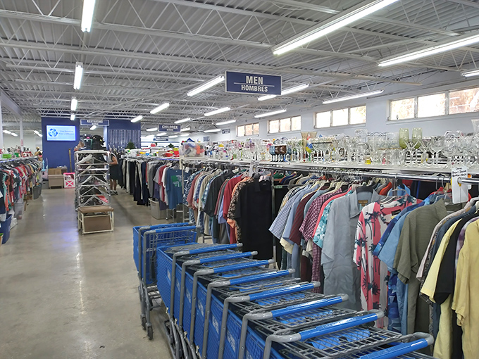 Your grandmother's attic called, and it moved to Palm Harbor - complete with that classic Florida strip mall charm.