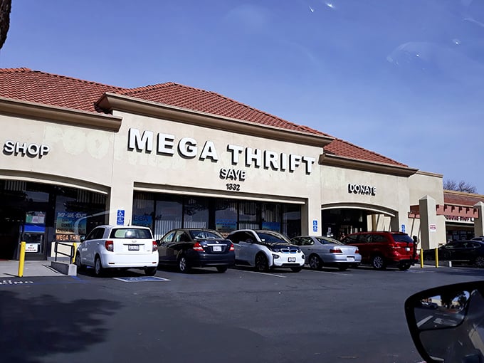 The unassuming storefront of Mega Thrift belies the wonderland within &ndash; like finding a portal to bargain dimension hiding in plain sight at a suburban strip mall.