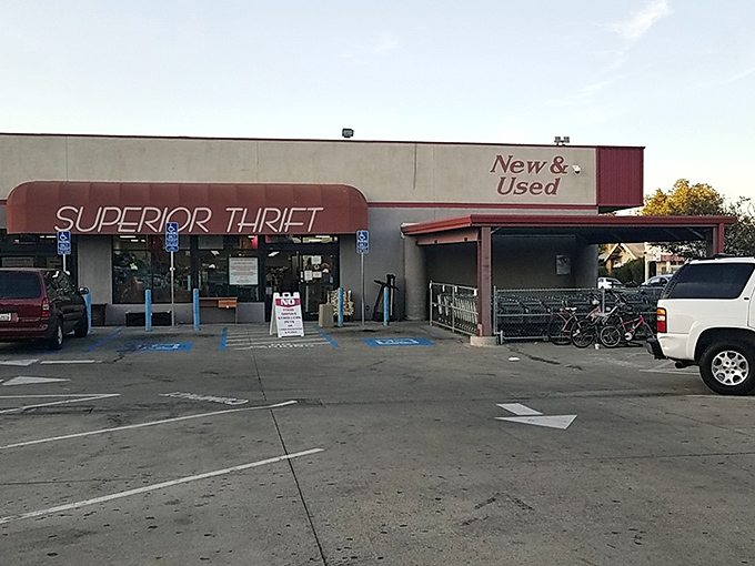 The unassuming exterior of Superior Thrift belies the wonderland within, like finding a five-star restaurant in a strip mall.