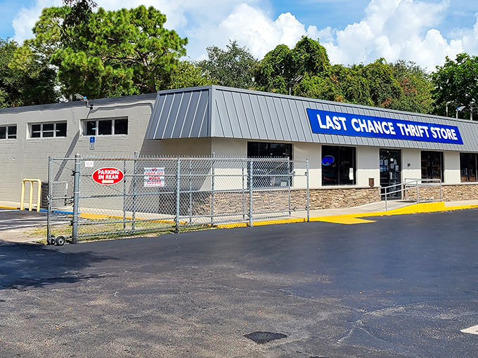 The blue sign beckons like a siren call to treasure hunters. Last Chance's purple-trimmed exterior promises adventures in secondhand splendor.