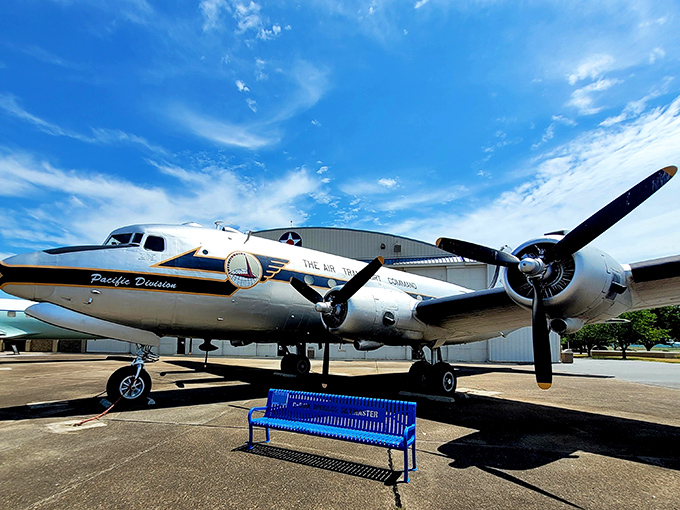 A gleaming vintage aircraft basks in the Delaware sunshine, its polished propellers ready to whisk you back to the golden age of aviation.