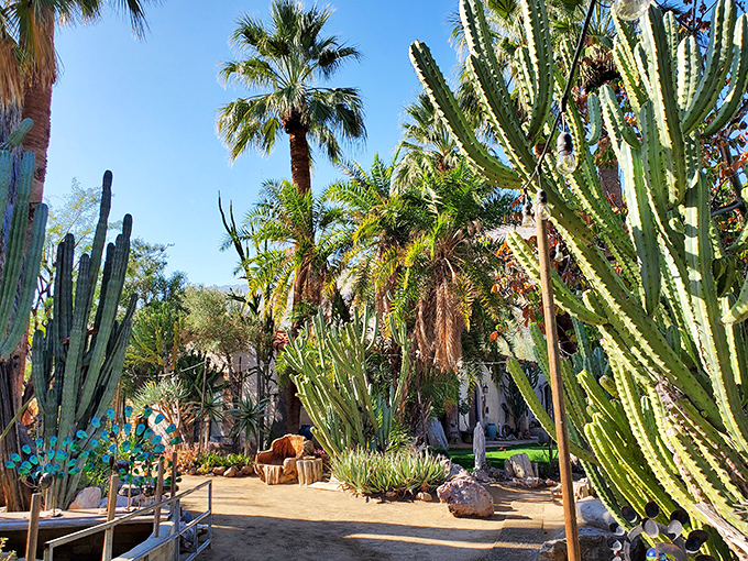 The winding path feels like a choose-your-own-adventure trail&mdash;except instead of dragons or wizards, you&rsquo;re dodging the occasional spiny arm of a very enthusiastic agave.