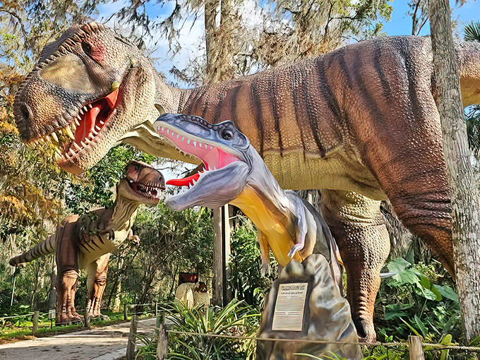 Life finds a way at Dinosaur World, where these prehistoric predators look ready to audition for the next Jurassic blockbuster. The detail in those teeth? Terrifyingly magnificent.