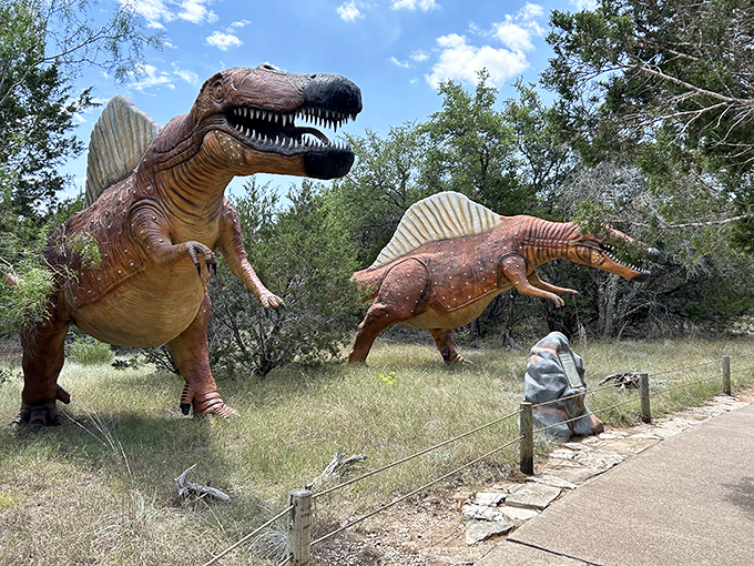 Two gentle giants welcome visitors at the entrance, standing like prehistoric gatekeepers guarding a Jurassic wonderland.