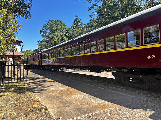 The maroon and yellow passenger cars of the Texas State Railroad stand ready for adventure, like time machines disguised as vintage transportation.