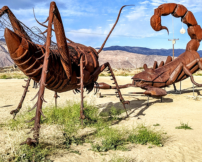 The fearsome dragon of Galleta Meadows emerges from the desert floor, its rust-colored scales glinting under the California sun like some ancient guardian awakened.