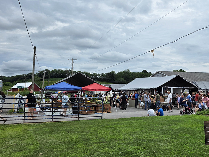 Welcome to treasure hunter paradise! Rogers Flea Market stretches before you with colorful tents and endless possibilities under the Ohio sky.