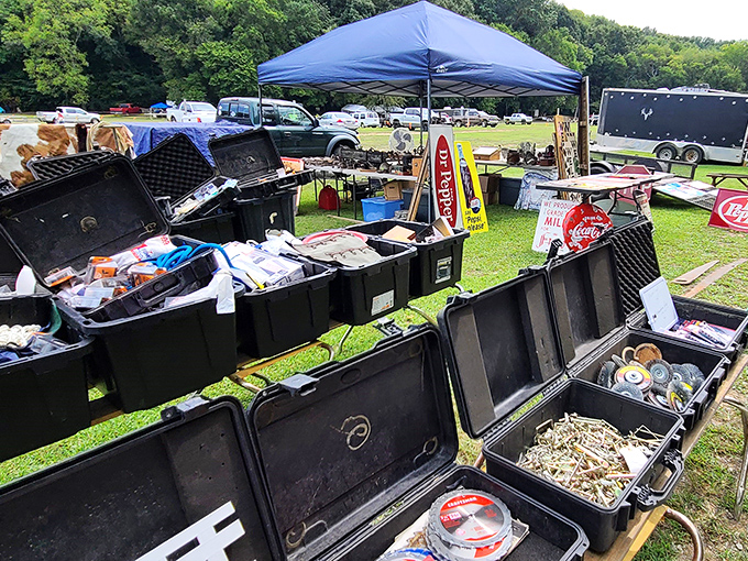 Treasure hunting begins! Black storage bins overflow with potential finds while vendors set up under blue canopies, creating the distinctive landscape of Dog Days Flea Market.