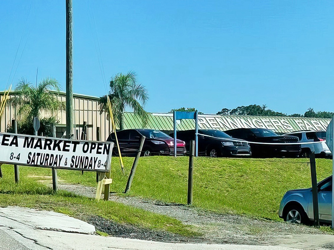 The green-roofed entrance to treasure-hunting paradise. Florida palm trees stand guard over decades of collectibles waiting inside.