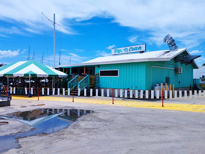 The turquoise facade of The Big Catch isn't trying to hide &ndash; it's proudly announcing that Florida seafood magic happens here. No pretense, just promise.