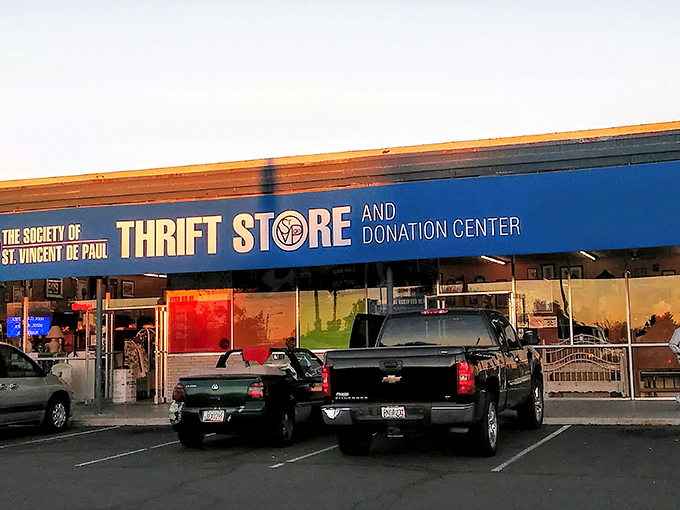 The blue-fronted bargain palace beckons with its no-nonsense signage. Behind these doors, treasure hunting becomes an Olympic sport.