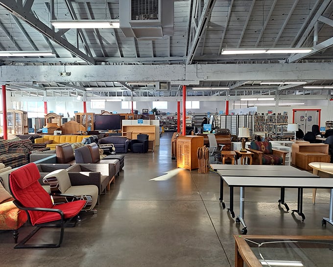 The warehouse wonderland of SuperThrift stretches before you like an endless horizon of secondhand possibilities. Every aisle promises new discoveries.