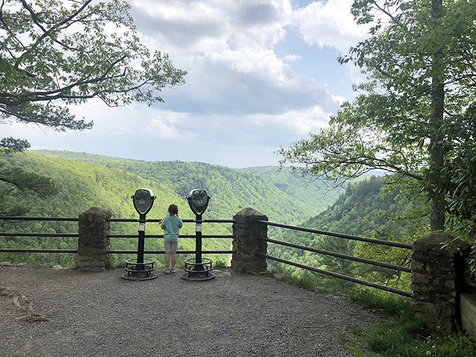Mother Nature's balcony at its finest. Those coin-operated binoculars aren't just for tourists—they're time machines to an ancient Pennsylvania that dinosaurs would recognize.