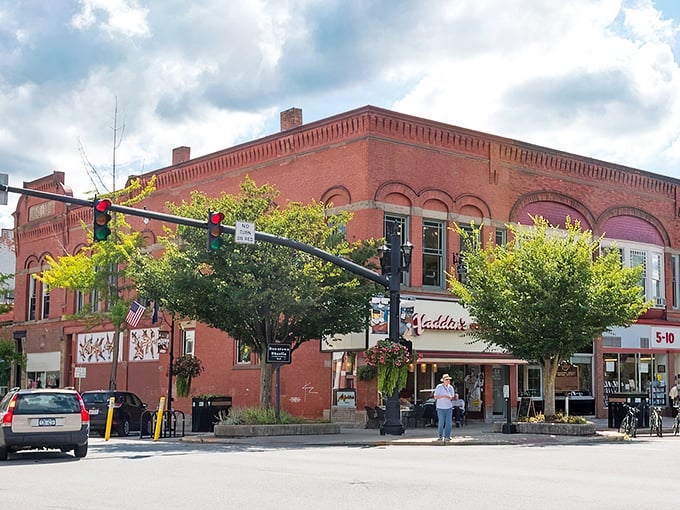 Autumn paints Oberlin College's historic campus with a palette that would make even New England jealous. Academic ambition meets Midwestern charm in this aerial view.