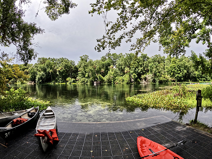 Nature's perfect frame: towering trees surround the emerald waters of Alexander Springs, creating a tranquil escape that feels worlds away from Florida's tourist crowds.