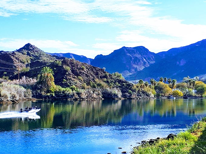 Where desert meets water in perfect harmony – Buckskin Mountain's dramatic landscapes create a photographer's paradise along the Colorado River.
