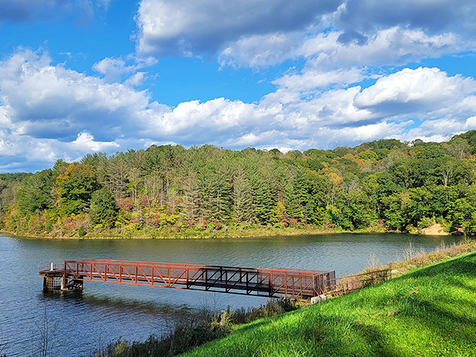 Nature's perfect fishing pier stretches into the emerald waters of Dow Lake, inviting you to cast a line or simply stand in awe of the surrounding greenery.