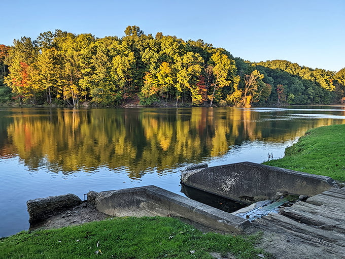 Nature's mirror game is undefeated here, with autumn trees creating a double feature of gold and amber that no IMAX could match.