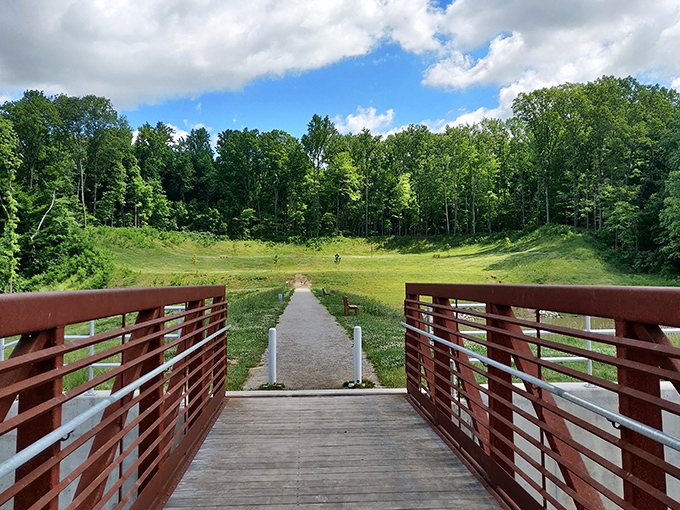 Nature's perfect mirror act! Fall foliage creates a double feature on the lake's surface, proving Ohio doesn't need mountains to deliver breathtaking vistas.