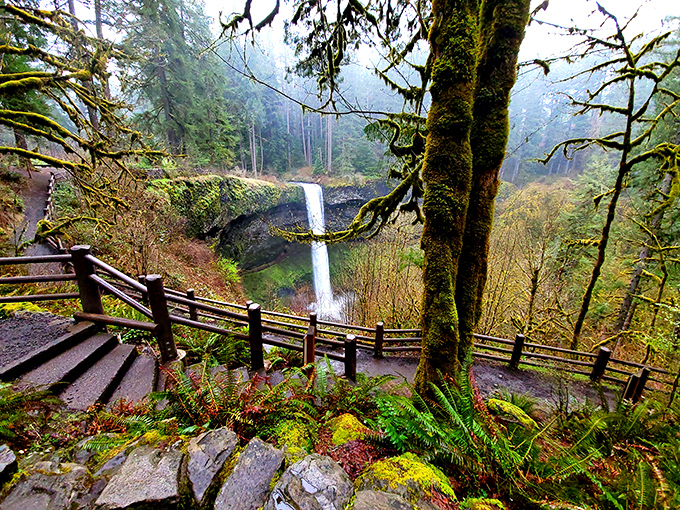 Nature's perfect staircase: Silver Falls' iconic pathway leads visitors to breathtaking views where mist meets moss in Oregon's crown jewel state park.