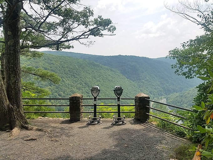 Welcome to Pennsylvania's best-kept secret, where Mother Nature apparently decided to show off just a little bit.
