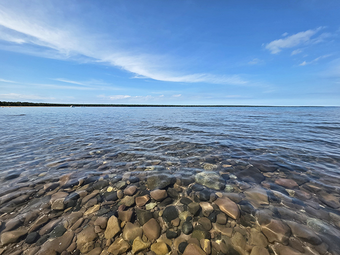 Nature's red carpet treatment: a wooden boardwalk invites you into a forest cathedral where sunlight plays hide-and-seek through ancient pines. Silence has never sounded so good.
