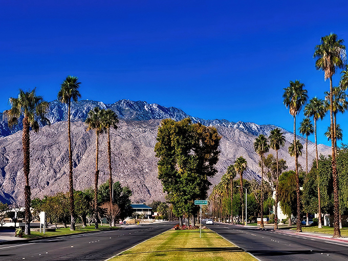 The road stretches toward snow-capped mountains, a reminder that desert living comes with spectacular views and the occasional need for a light jacket.