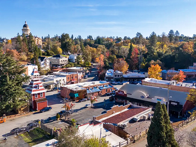 Auburn's historic downtown unfolds like a storybook, with the iconic courthouse dome watching over brick buildings and autumn-painted trees&mdash;small-town charm with big personality.